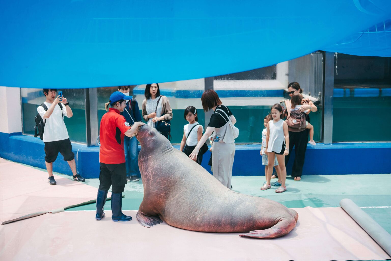 Come and interact with marine life! A new area with plenty of things to ...